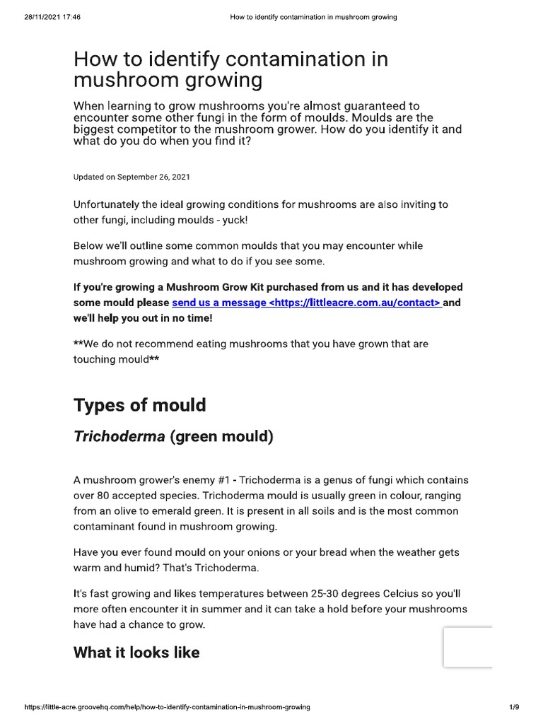 How To Identify Contamination in Mushroom Growing | PDF
