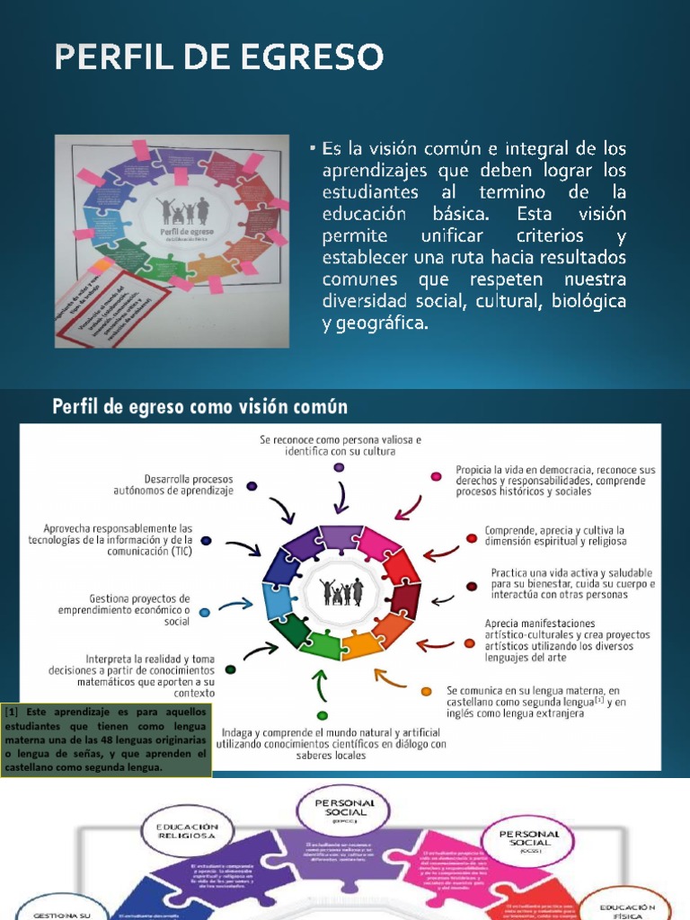 2 Perfil de Egreso | PDF