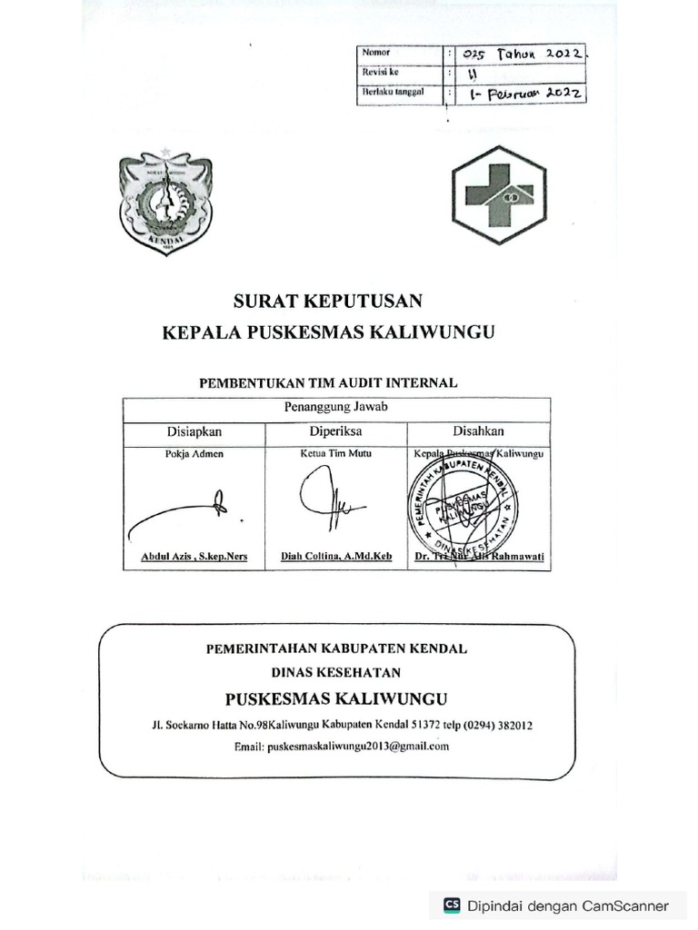 SK Tim Audit Internal | PDF