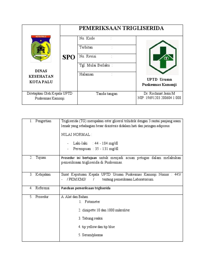 Pemeriksaan Trigliserida | PDF
