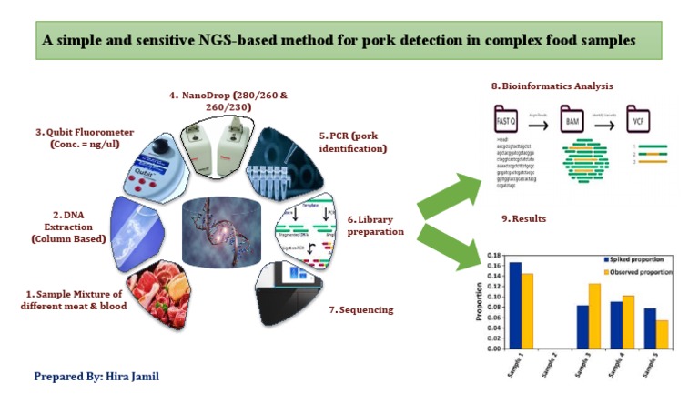 Graphical Abstract Final Pdf
