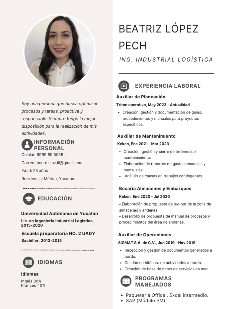 CV Beatriz López Pech | PDF | Tecnologías de la información | Business