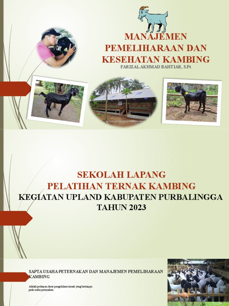 Manageman Pemeliharaan Ternak Kambing | PDF