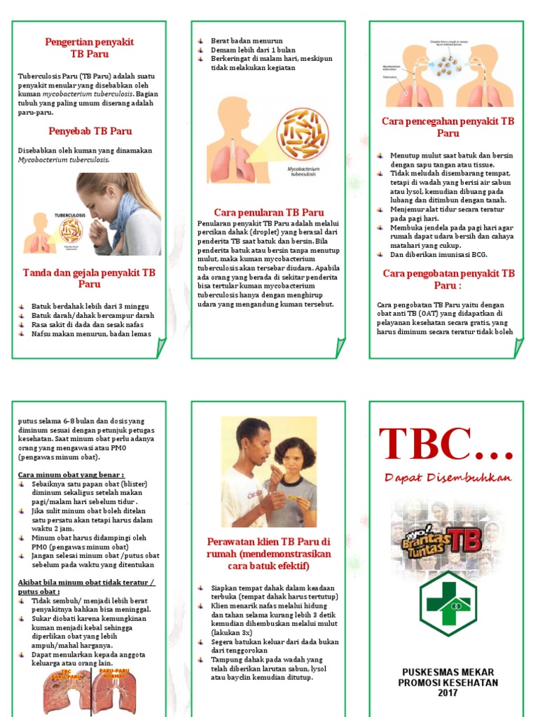 Contoh Leaflet Penyakit TB Paru | PDF