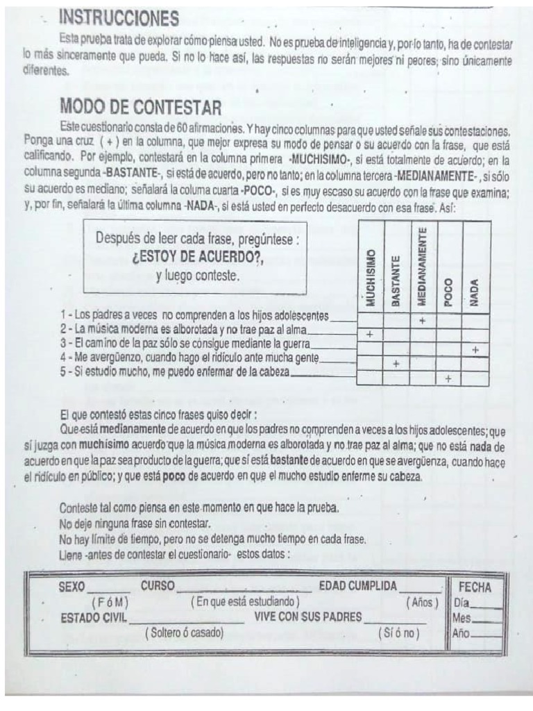 Test Ideas Jovenes | PDF