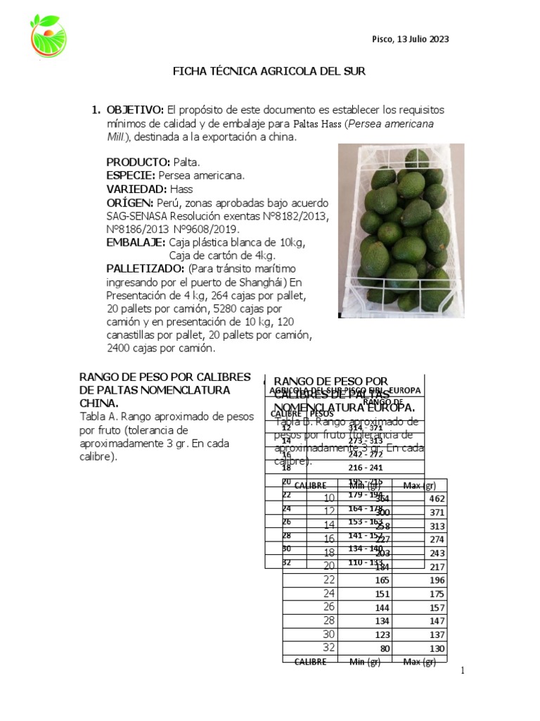 Ficha Técnica Palta Hass China | PDF | Aguacate | Herida