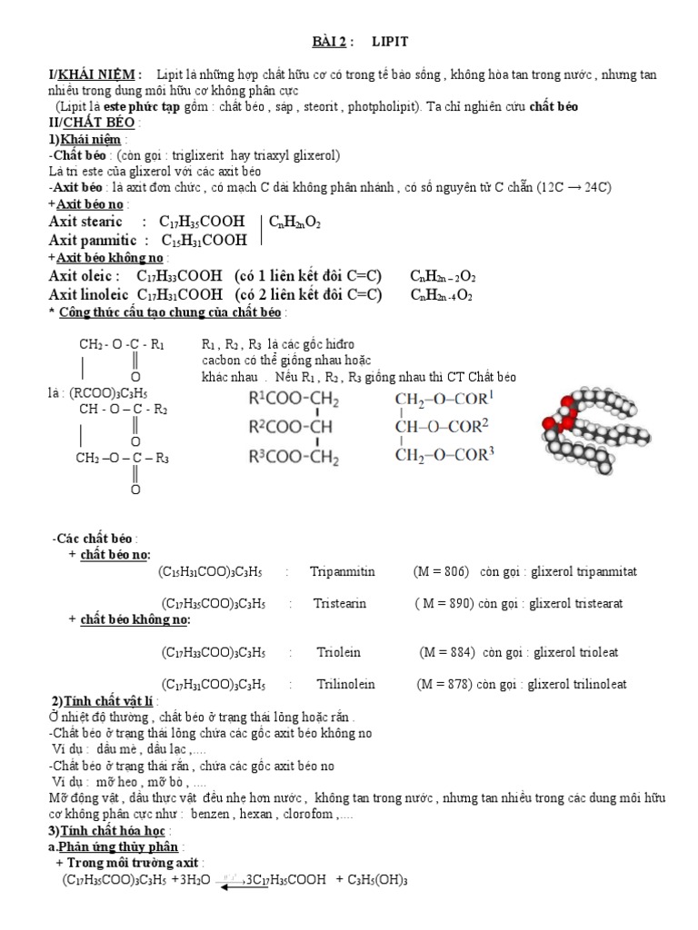 4 LÝ THUYẾT + BÀI TẬP LIPID | PDF