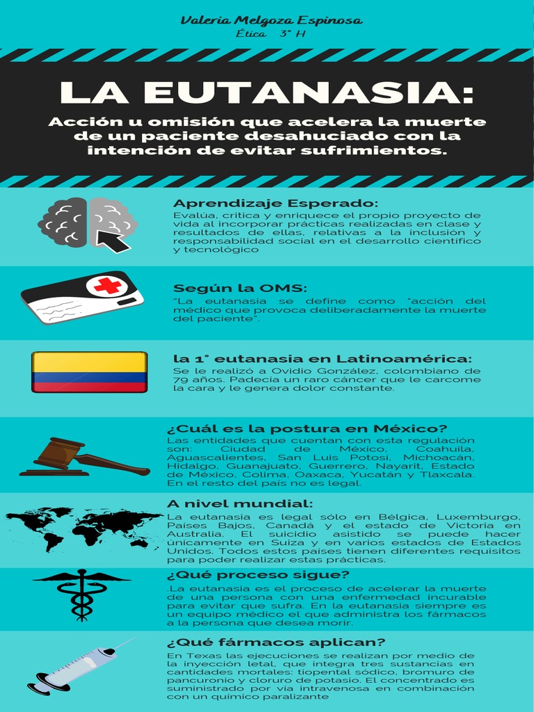Infografía Sobre La Eutanasia | PDF