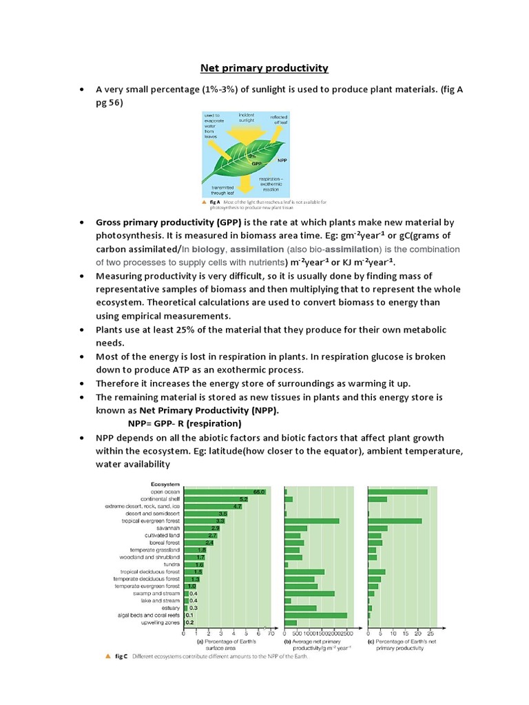Net Primary Productivity T5-4 | PDF | Primary Production | Ecosystem