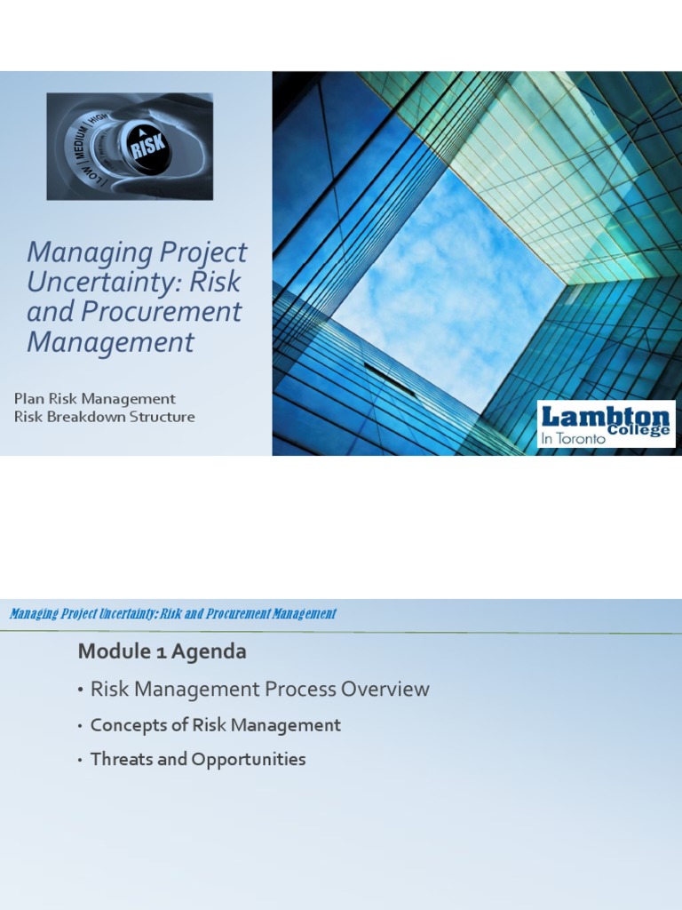 Risk Breakdown Structure | Download Free PDF | Risk | Risk Management