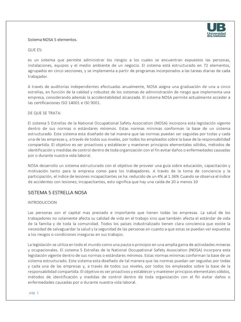 Sistema 5 Estrellas NOSA: Prevención de Riesgos | PDF | Business