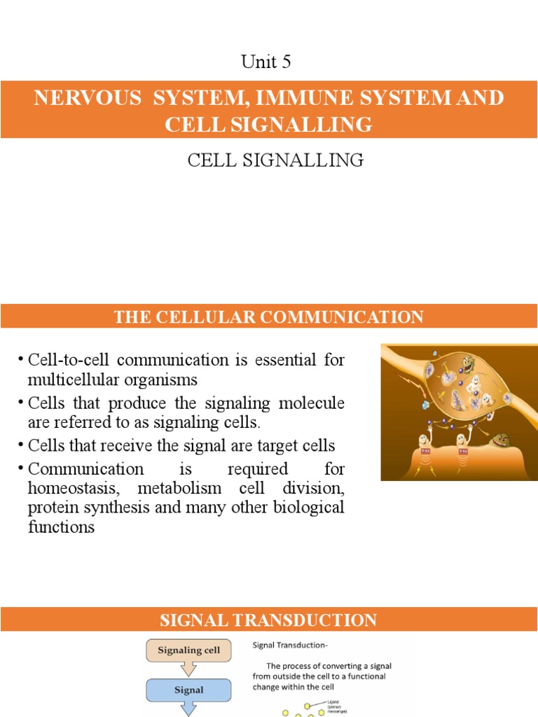 5 Cell Signalling | PDF | Cell Signaling | Cell (Biology)