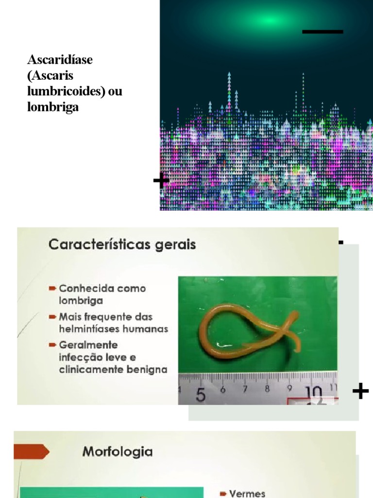 Ascaridíase (Ascaris Lumbricoides) Ou Lombriga | PDF