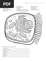 Animal and Plant Cell Coloring Guide | PDF | Cell (Biology ...