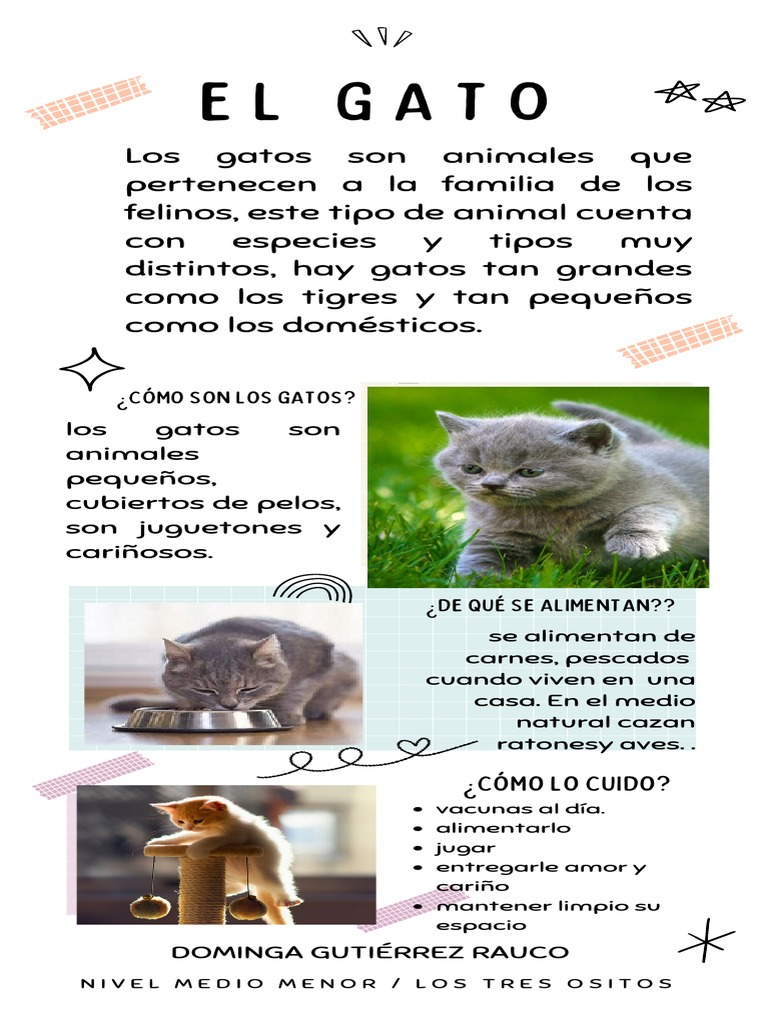 El Gato | PDF
