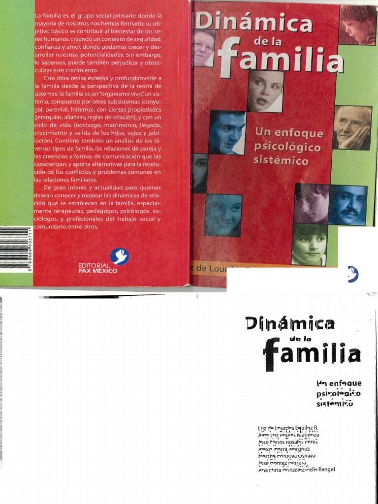 La Familia Como Sistema | PDF