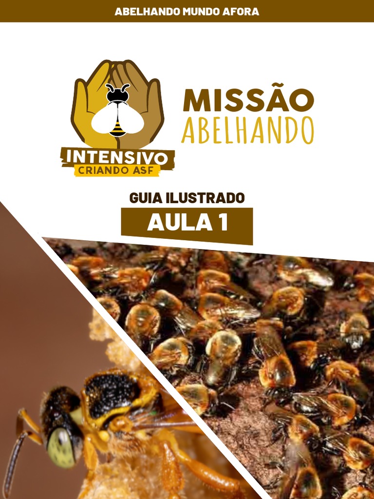 APOSTILA 1 - Missão Abelhando | PDF | Abelhas | Aprendizado