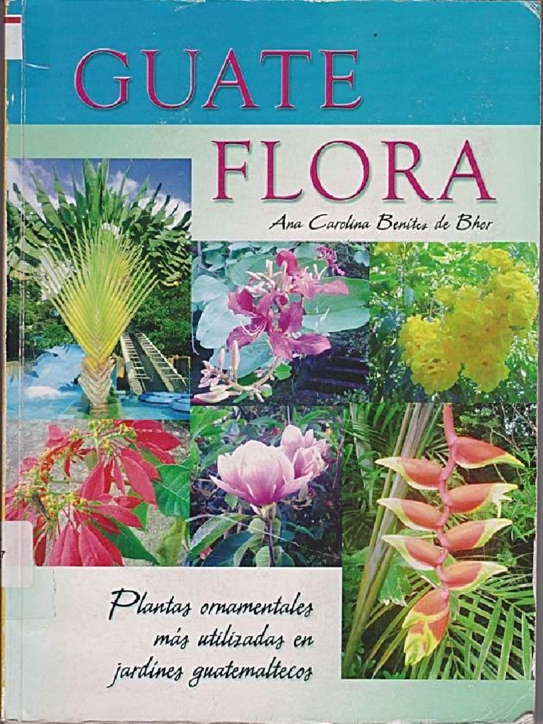 Guate Flora | PDF
