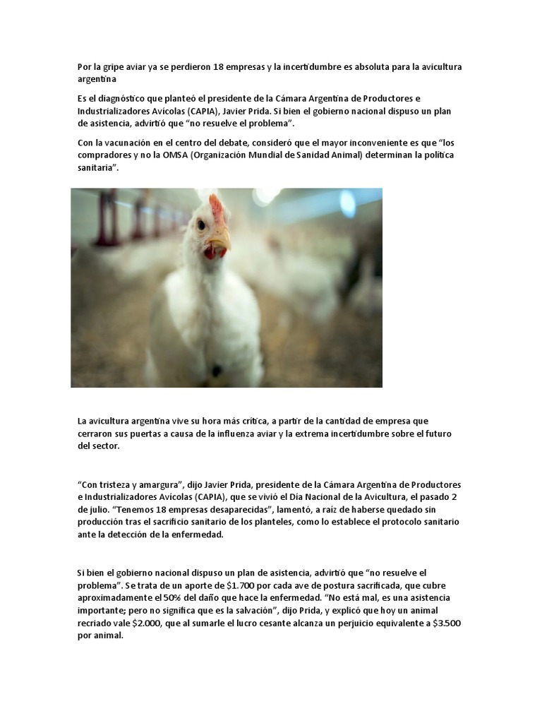 Gripe Aviar-Avicultura Argentina | PDF | Influenza aviar | Influenza
