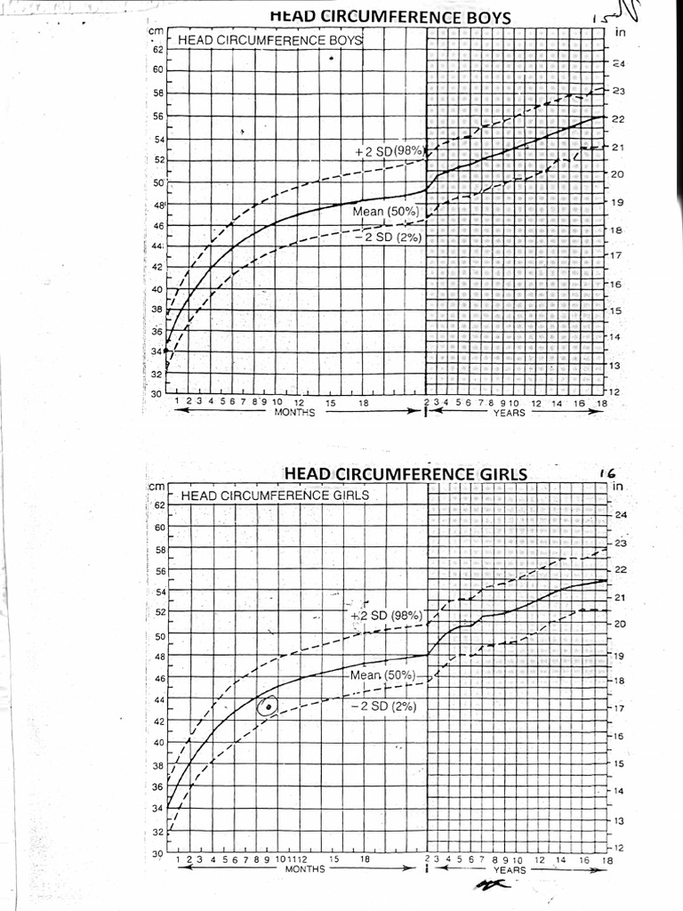 Head Circumference Chart | PDF