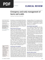 Lund and Browder Chart | PDF | Burn | Skin