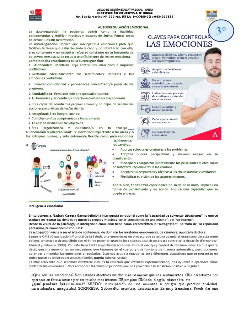 Autorregulación Emocional | PDF | Las emociones | Ira