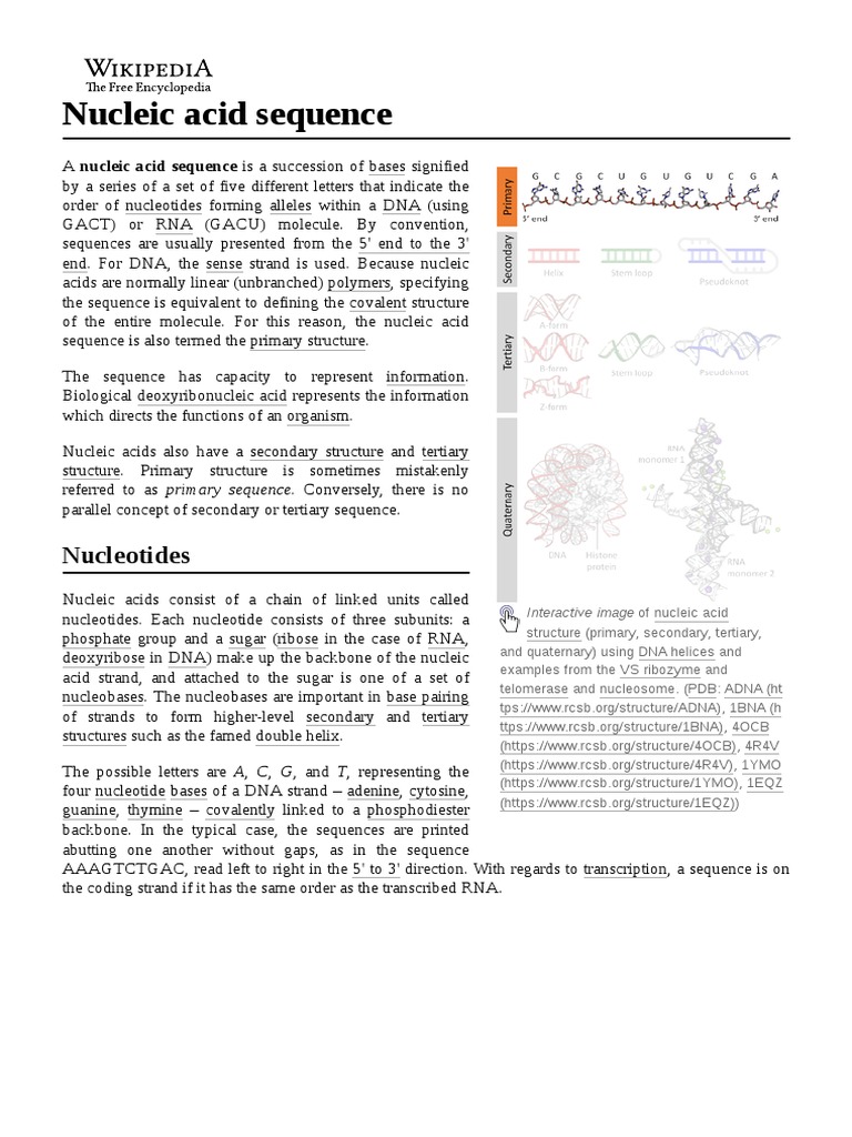 Nucleic Acid Sequence | Download Free PDF | Nucleic Acid Sequence | Sequence Alignment