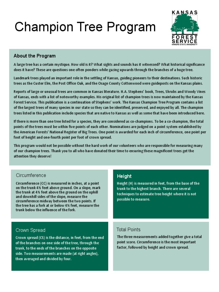 Champion Tree Report 7.13.23 | Download Free PDF | Oak | Trees