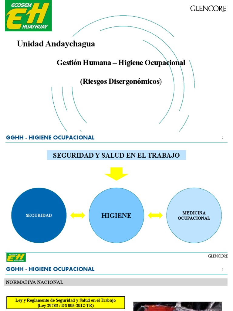 Riesgos Disergonómicos (ECOSEM HUAYHUAY) | PDF | Factores humanos y ergonomía | La columna vertebral