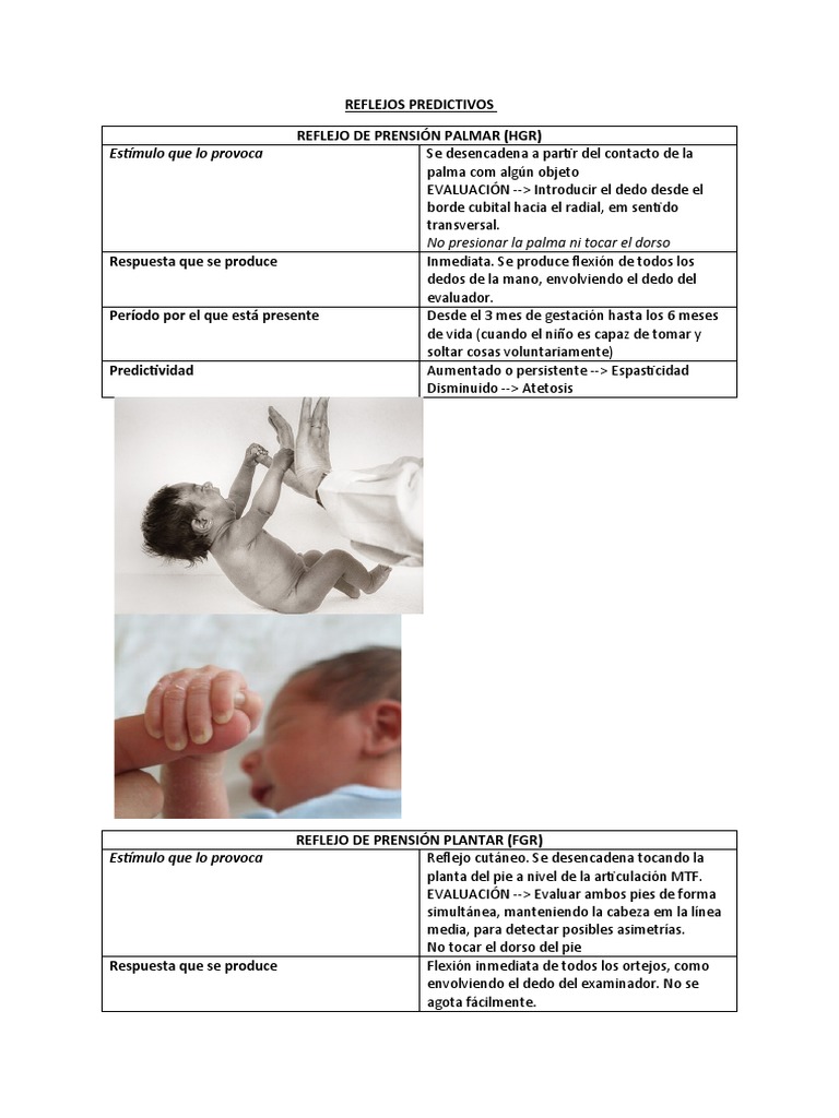 REFLEJOS | PDF | Pie | Anatomía humana