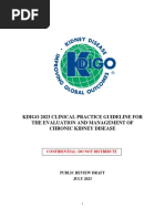KDIGO 2024 CKD Guideline Executive Summary | PDF | Chronic Kidney ...