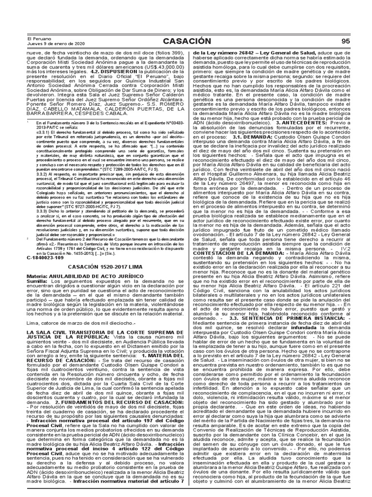 Caso Custodio Quispe - María Alfaro - Casación | PDF | Debido al proceso | Ley procesal