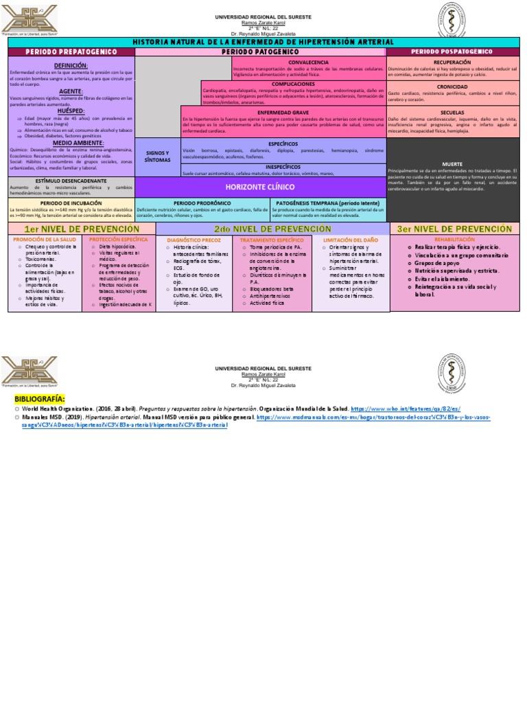 Hne Hipertensión Arterial | PDF | Hipertensión | Presión sanguínea