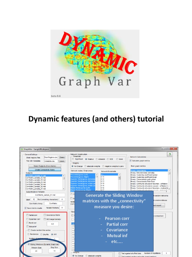 GraphVar Dynamic Tutorial | PDF | Matrix (Mathematics) | Variance