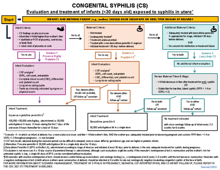CS Algorithm | Download Free PDF | Urological Conditions | Mycoplasma