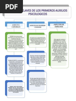 Construcción de Protocolo en Primeros Auxilios Psicológicos A Partir de Un Caso. AA3-EV01 | PDF