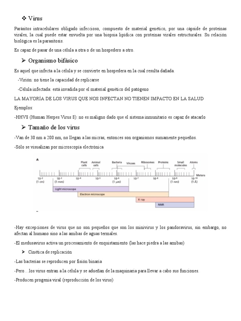 Virología Básica | PDF | Virus | Adn