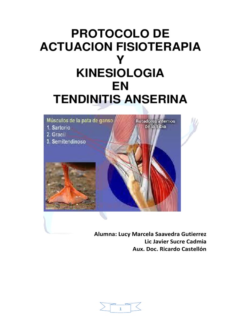 Protocolo Fisioterapia en Tendinitis | PDF | Rodilla | Tendón