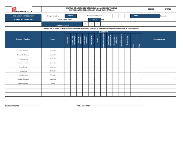Formato de Inspeccion Epp | PDF