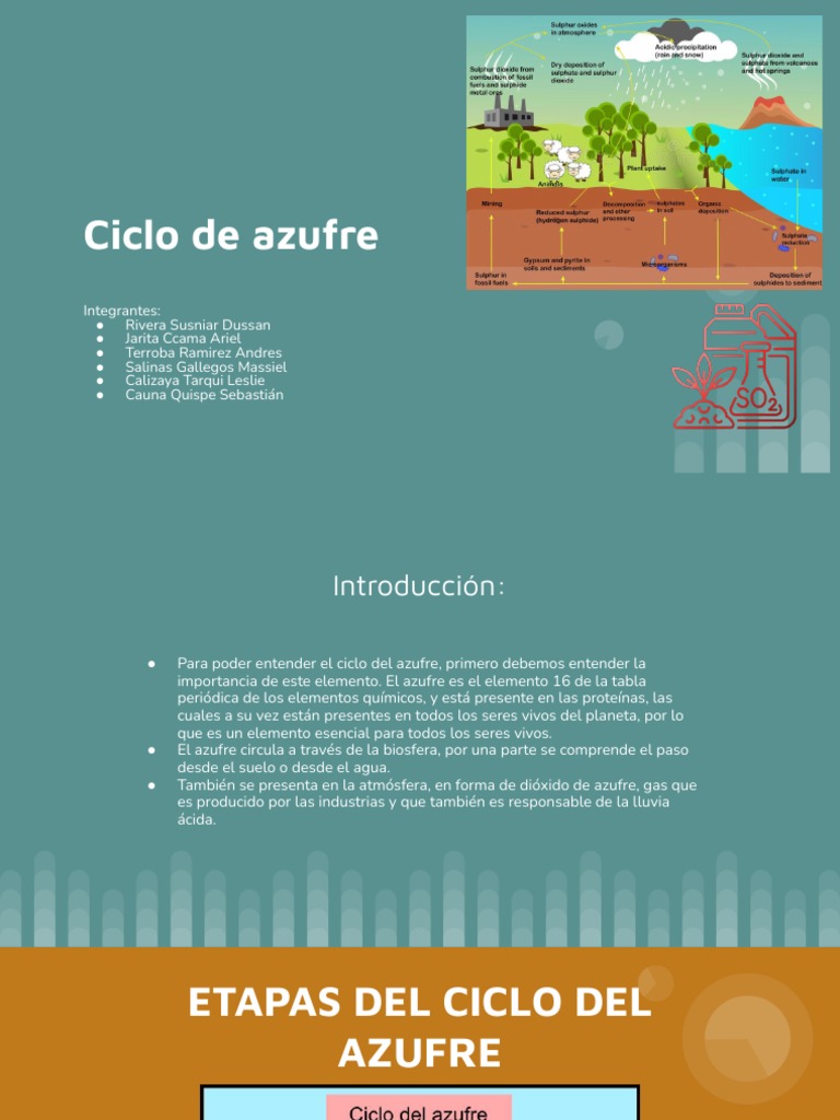 Ciclo Del Azufre | Descargar gratis PDF | Azufre | Suelo