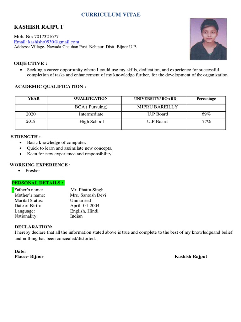 Kashish Rajput | PDF