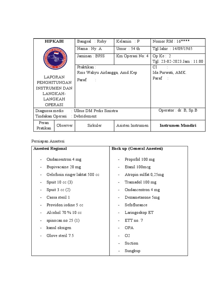 Ulkus DM, Debrit Langkah Ibs Minggu 8 | PDF