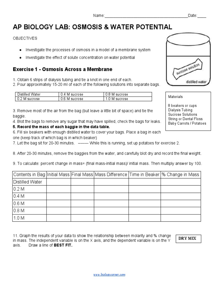 Investigation - Osmosis and Water Potential (Dialysis) | PDF | Osmosis ...