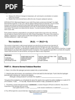 Enzyme Activity Lab: Catalase Effects | PDF | Catalase | Enzyme