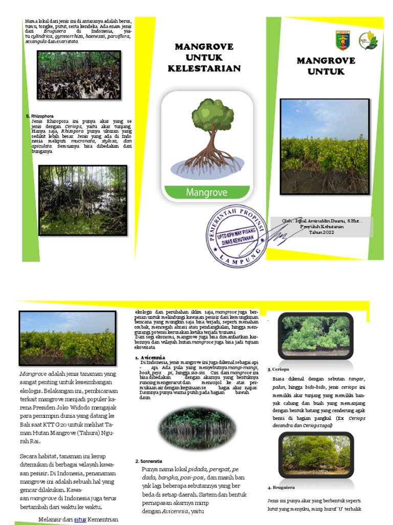 Leaflet Mangrove | PDF