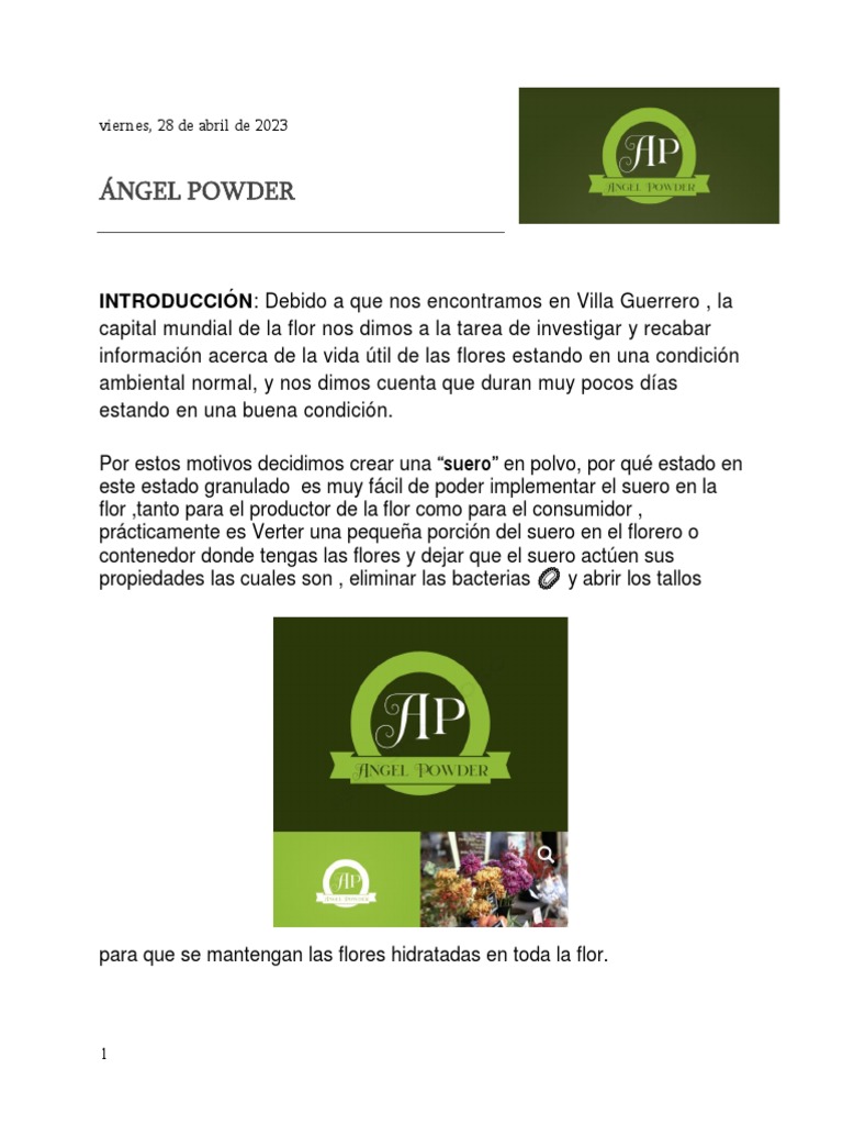 Angel Powder | PDF | Ciencia y matemáticas