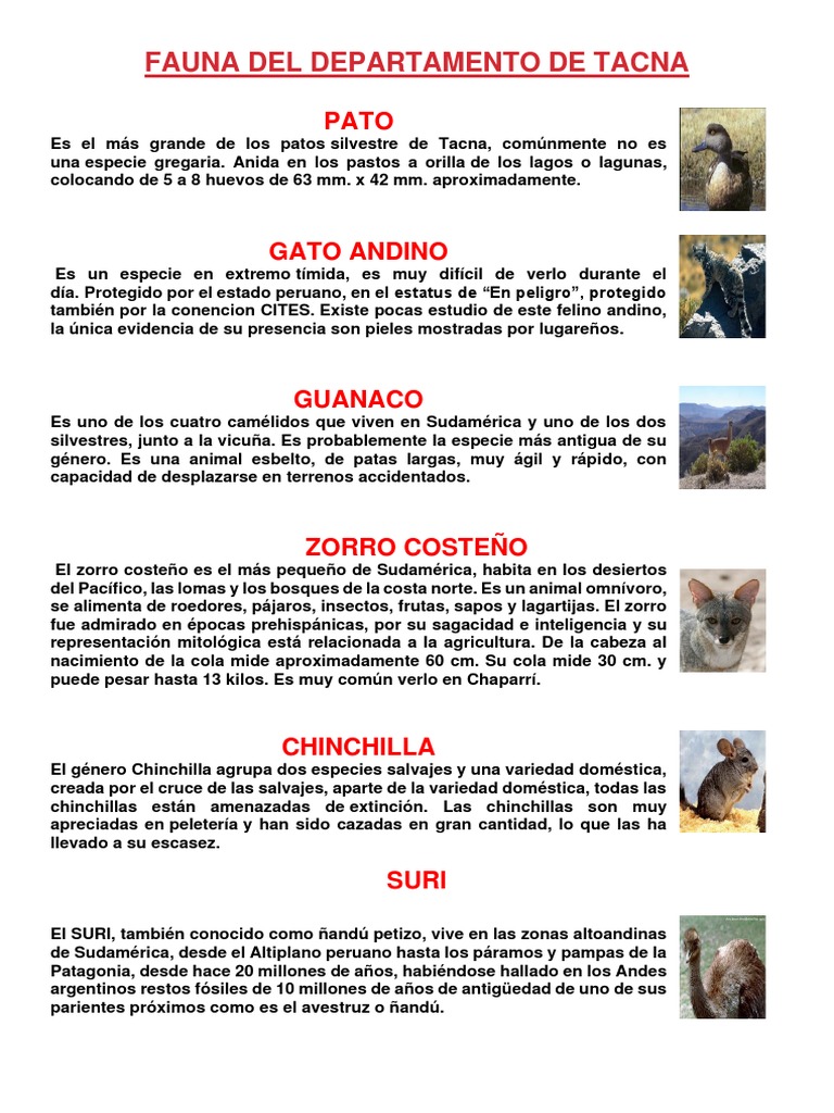 Fauna Del Departamento de Tacna | PDF