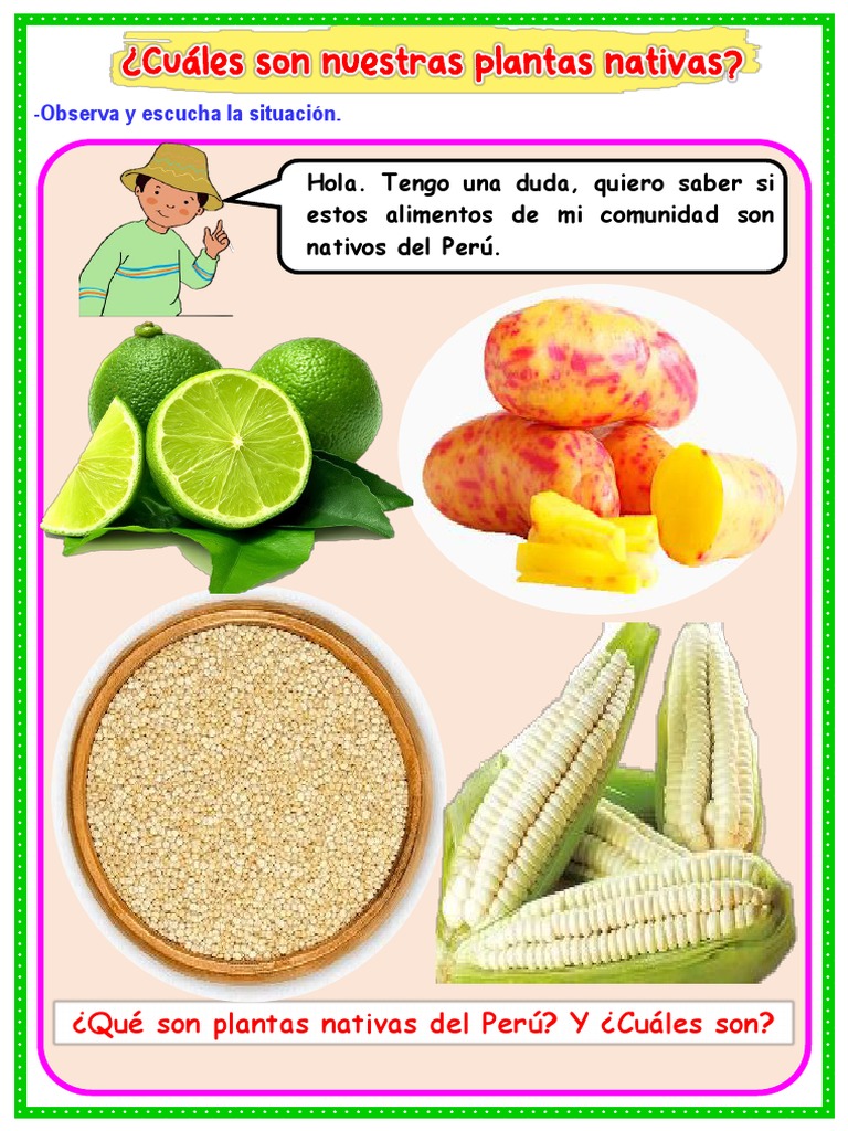 Ficha Plantas Nativas Del Perú | PDF | Industria de alimentos | Botánica