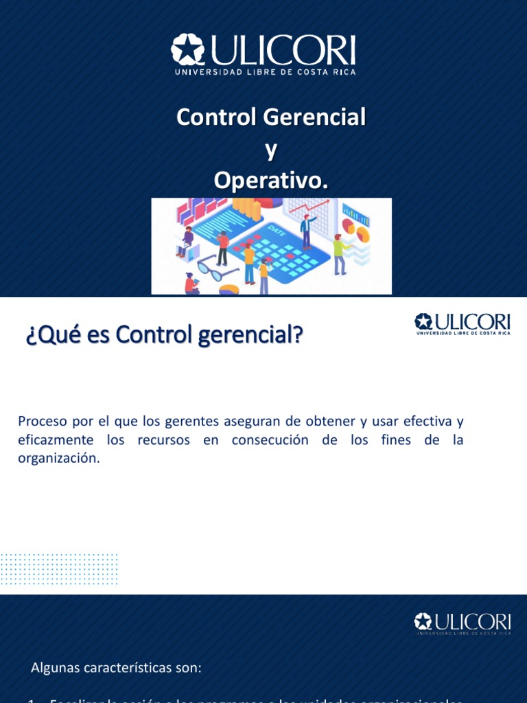 Control Gerencial y Operativo | PDF