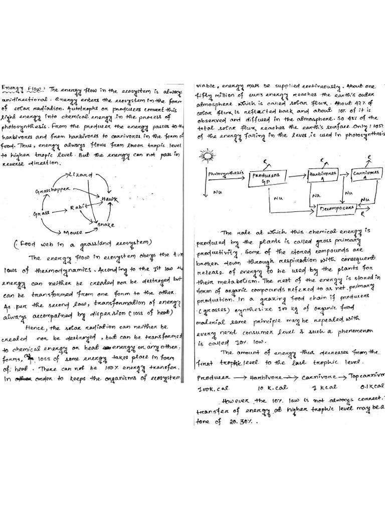 Energy Flow PDF | PDF